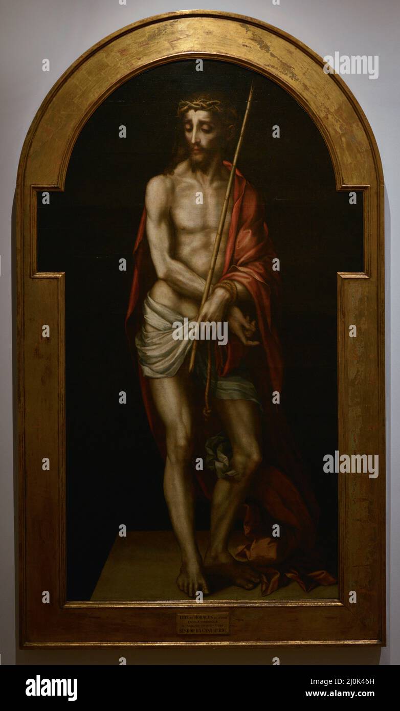 Luis de Morales (c. 1510-1586). Spanish painter. "Ecce Homo", 1565. Oil ...