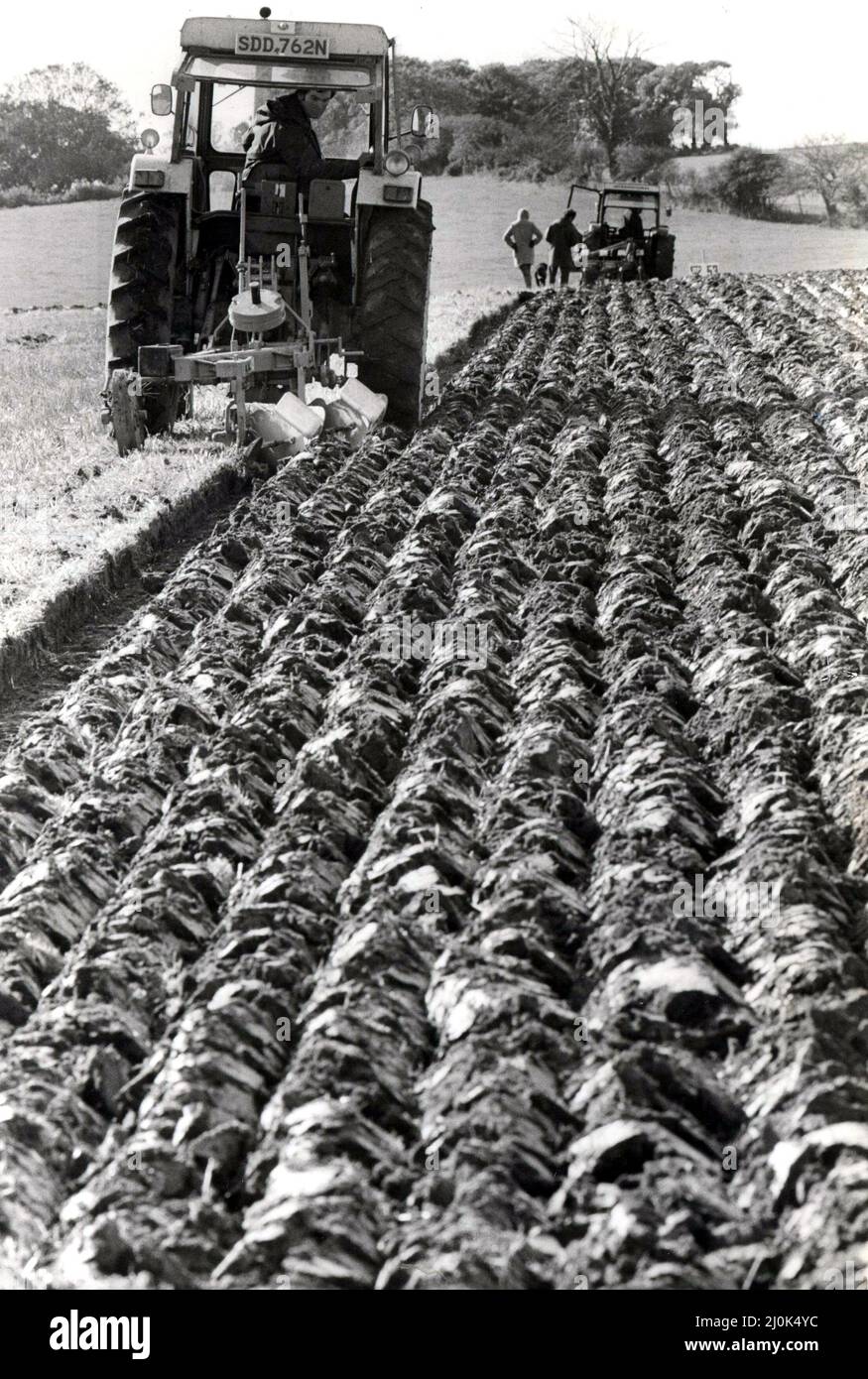 Ploughing - The Wick and Maendy Ploughing Society, held their 22nd ...