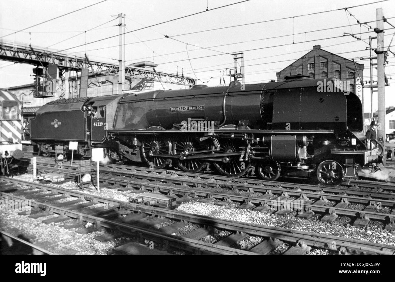 Duchess of hamilton hi-res stock photography and images - Alamy