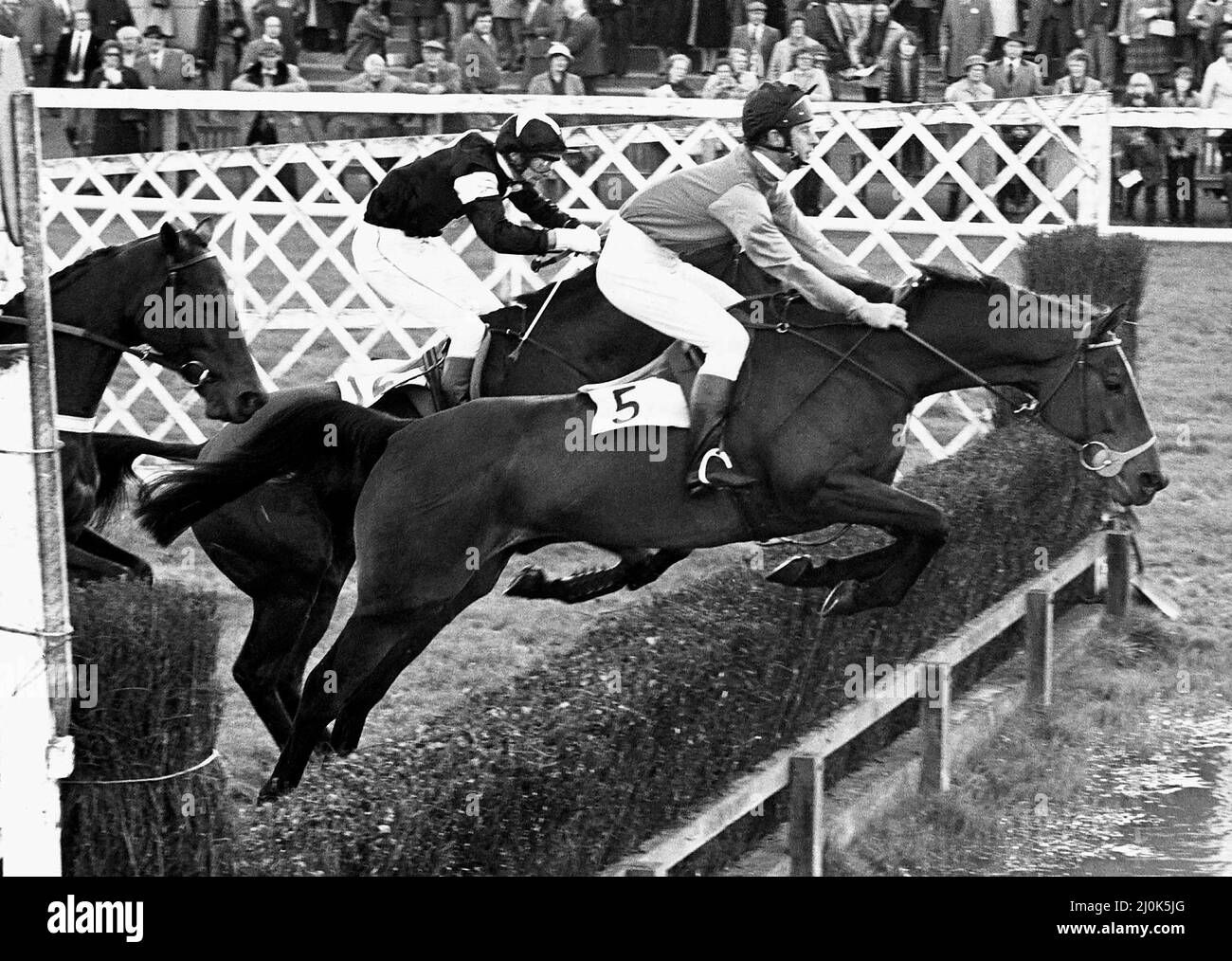 Prince Charles riding Allibar at Ludlow races.Circa January 1981 Stock ...