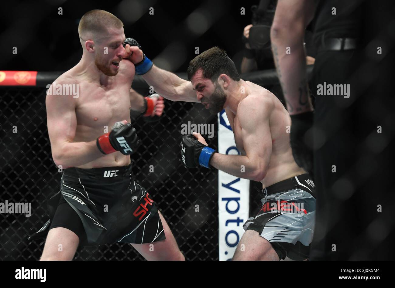 London, UK. 28th Oct, 2012. Jack Shore seen in action against Timur ...