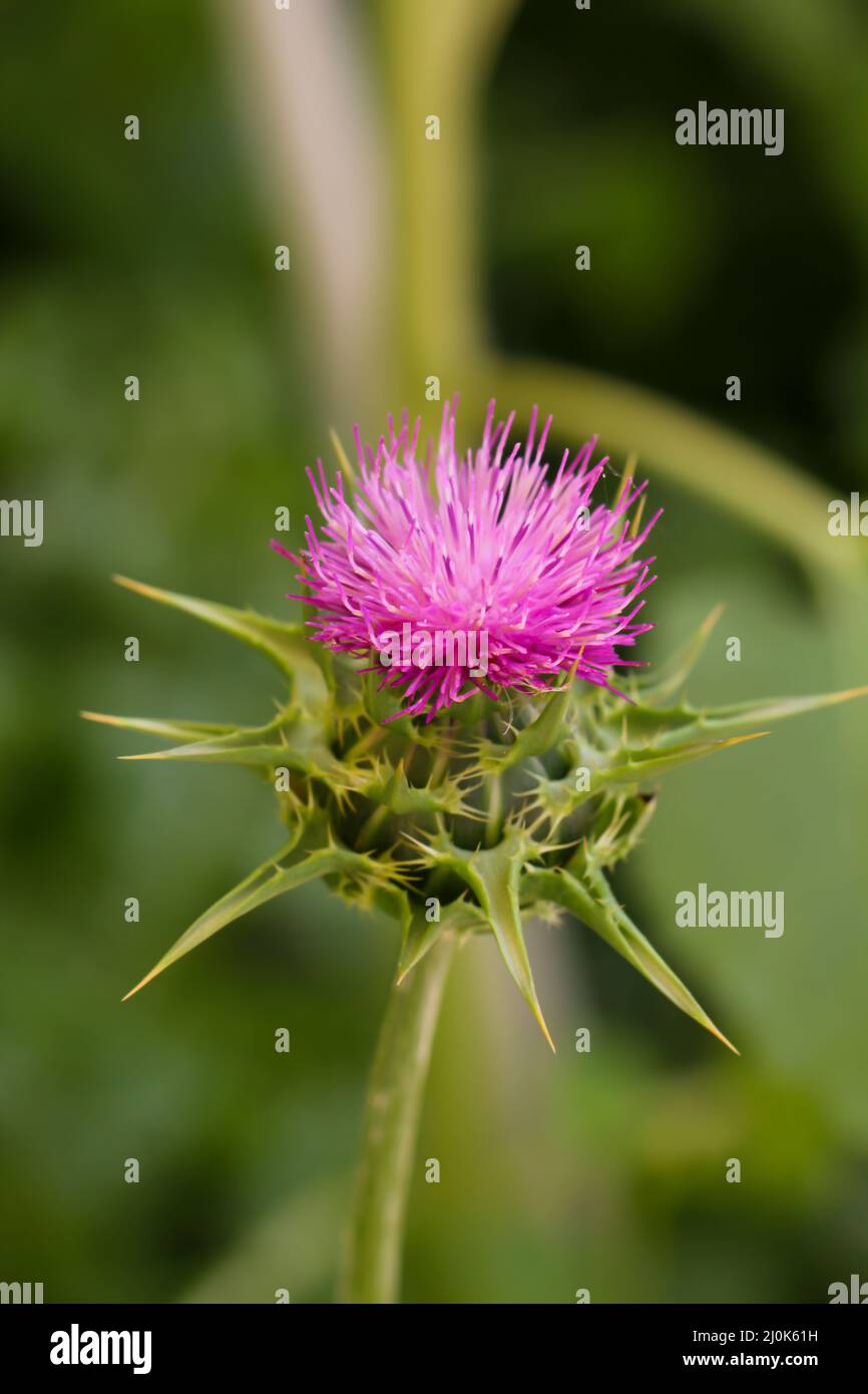 Core memory image hi-res stock photography and images - Alamy