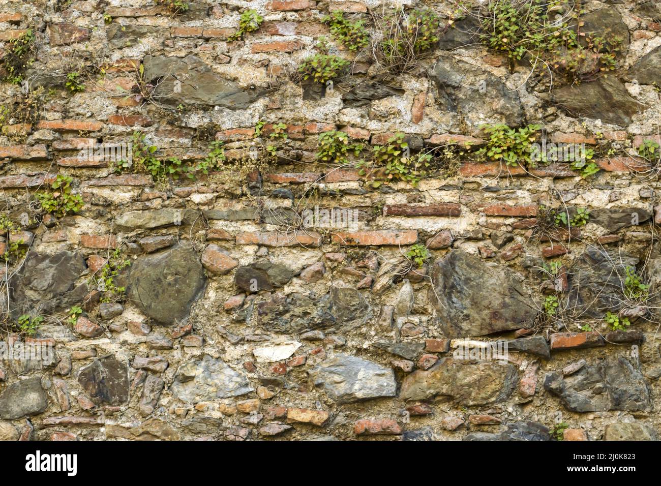 Green grass grew inside the ancient historical wall,background Stock ...