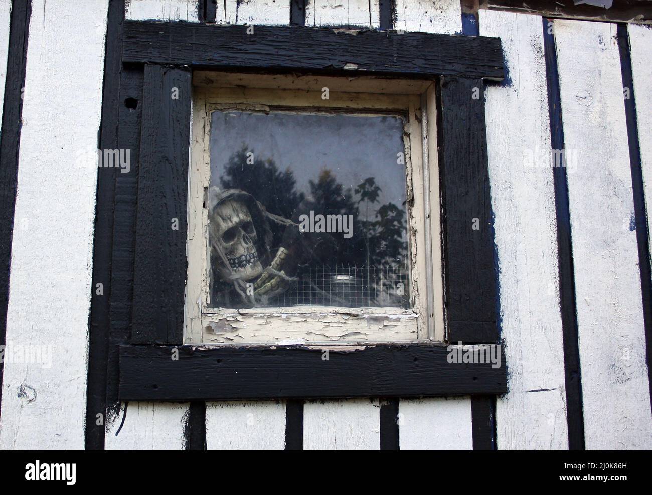 A frame from a horror movie-the skull looking out the window Stock ...