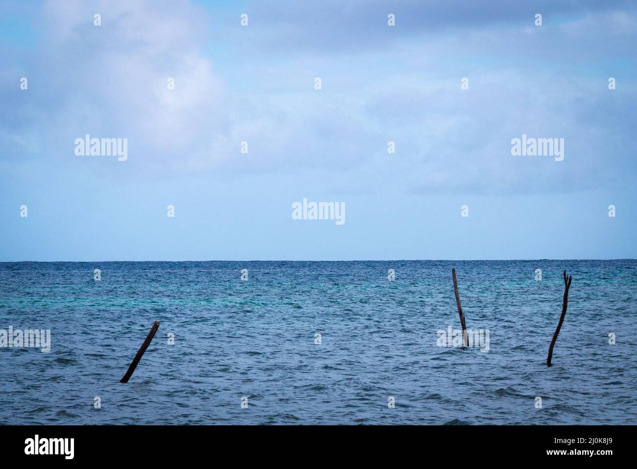 Sea of Different Shades with some Wooden Sticks Stock Photo - Alamy