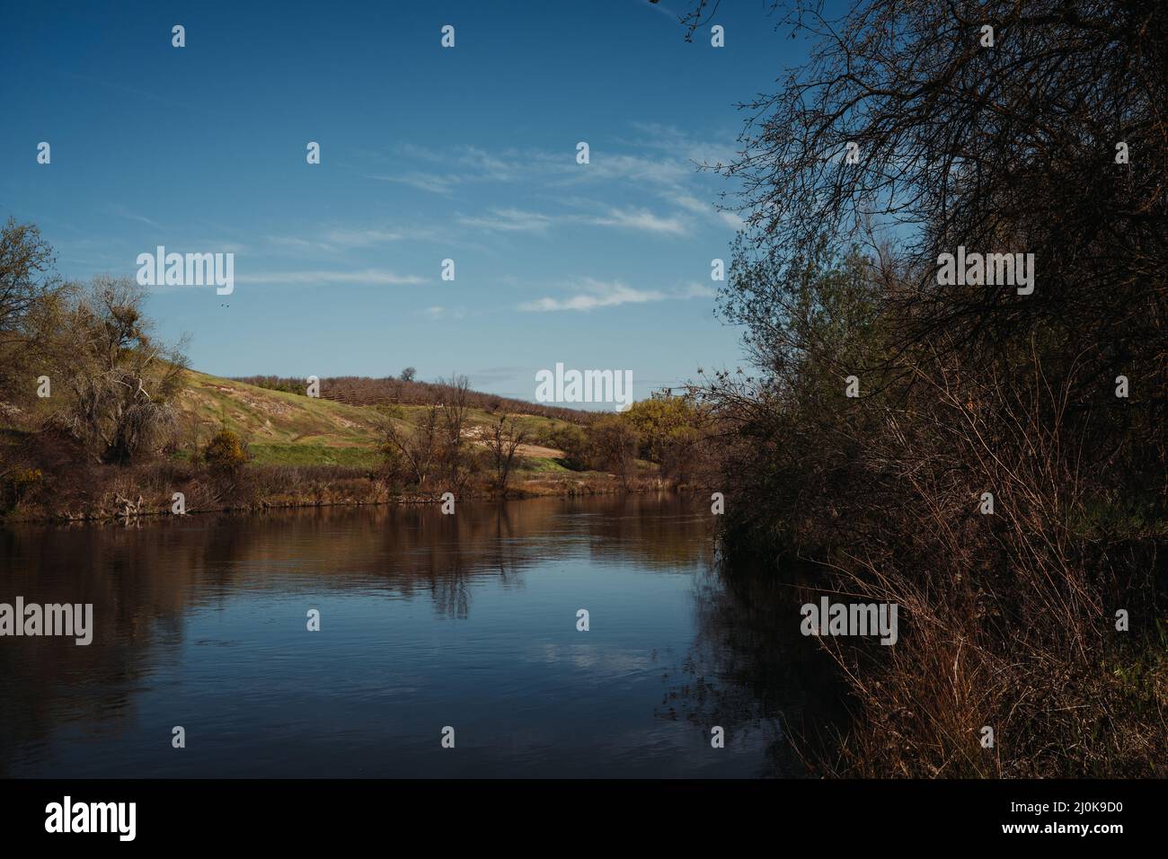 Leafless trees reflecting in the San Joaquin river in Friant California ...
