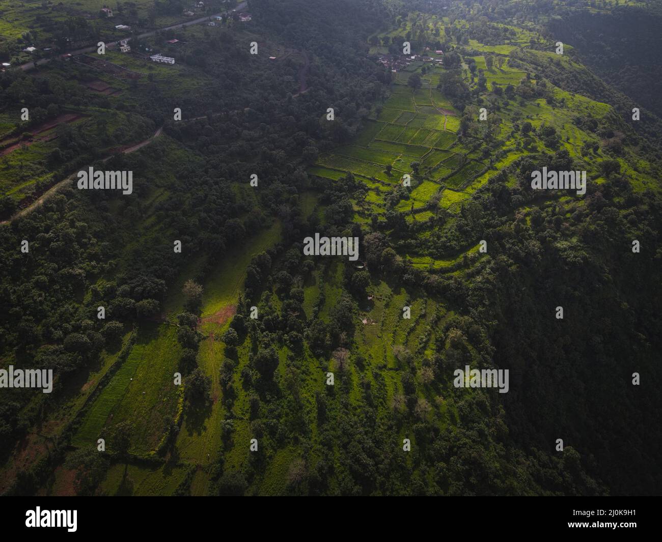 Aerial view of a forested area with fields and rural buildings Stock ...