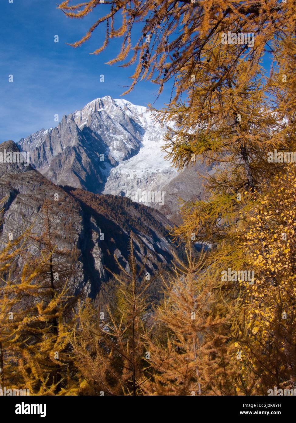 Beautiful scenery of snow-capped Italian alps with autumn trees, Aosta ...
