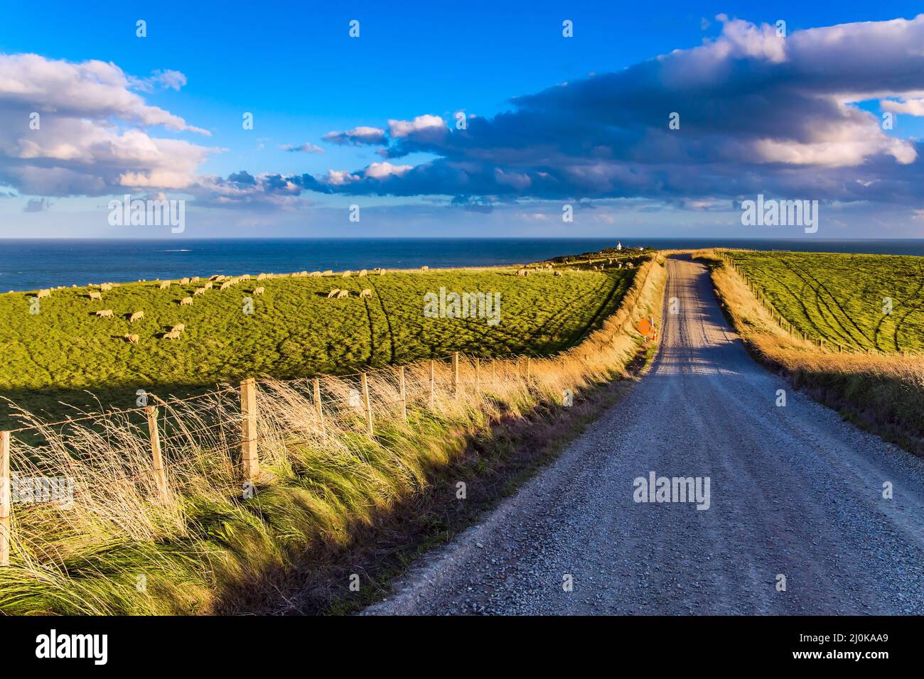 Caitlins Scenic Road Stock Photo - Alamy
