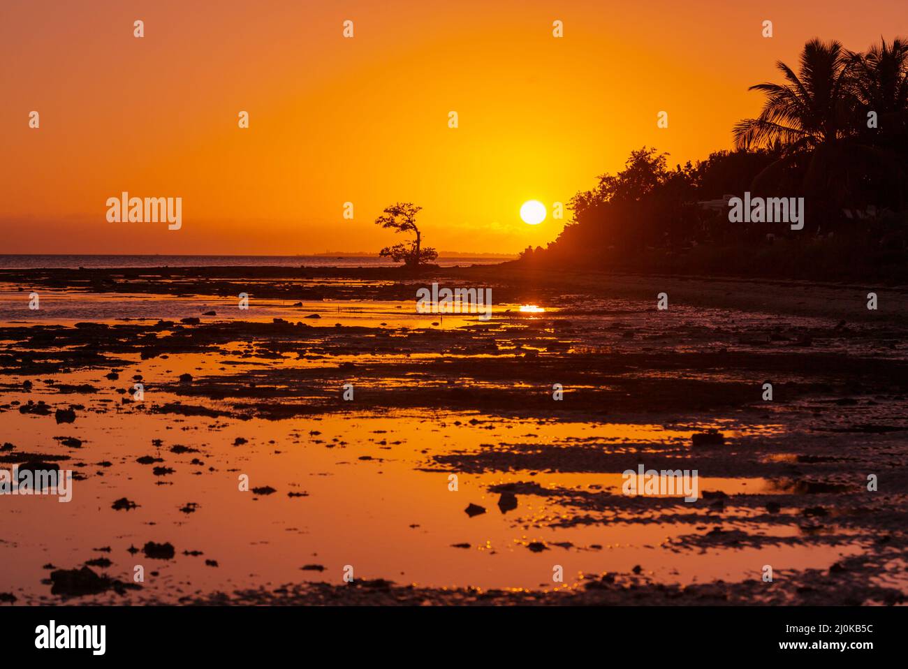 Keys mangroves hi-res stock photography and images - Alamy