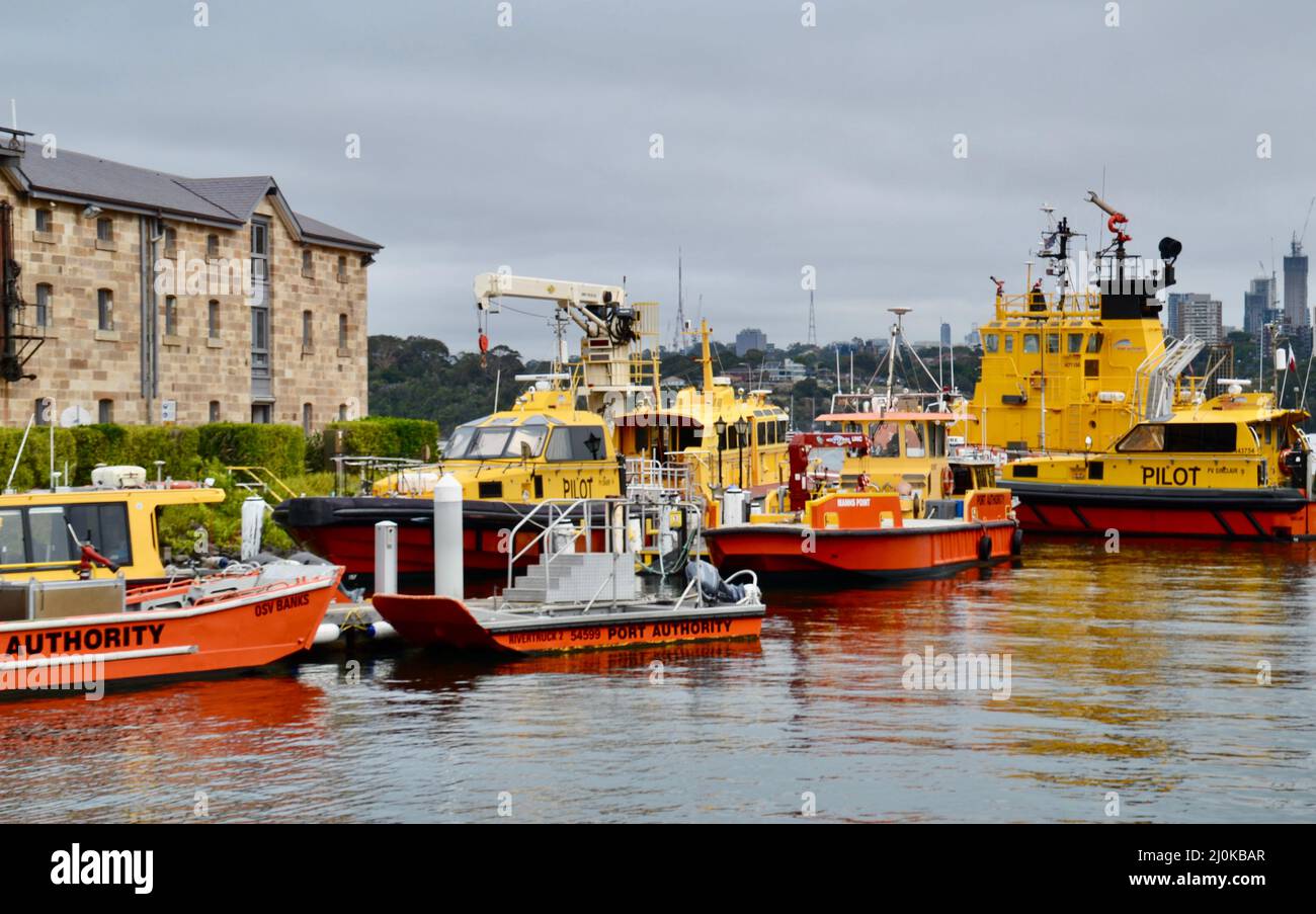 Harbour pilot vessels at the dock in Sydney with administration ...