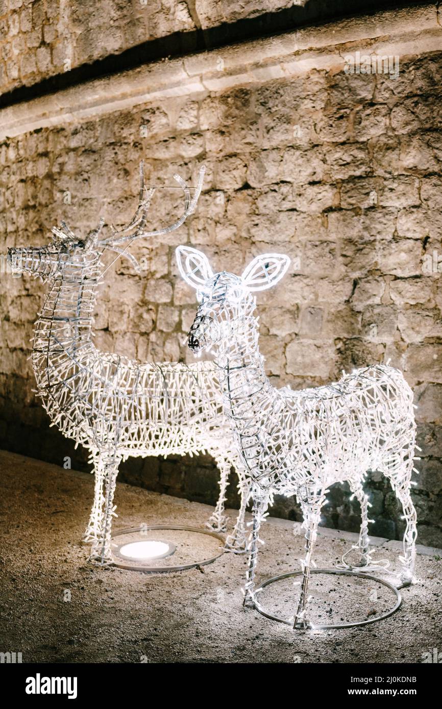 The figure of Christmas deer is a metal frame covered with a white ...