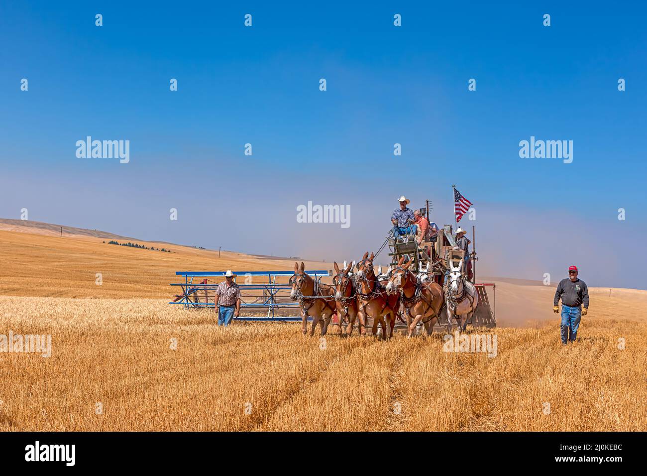 Old fashioned coach hi-res stock photography and images - Alamy
