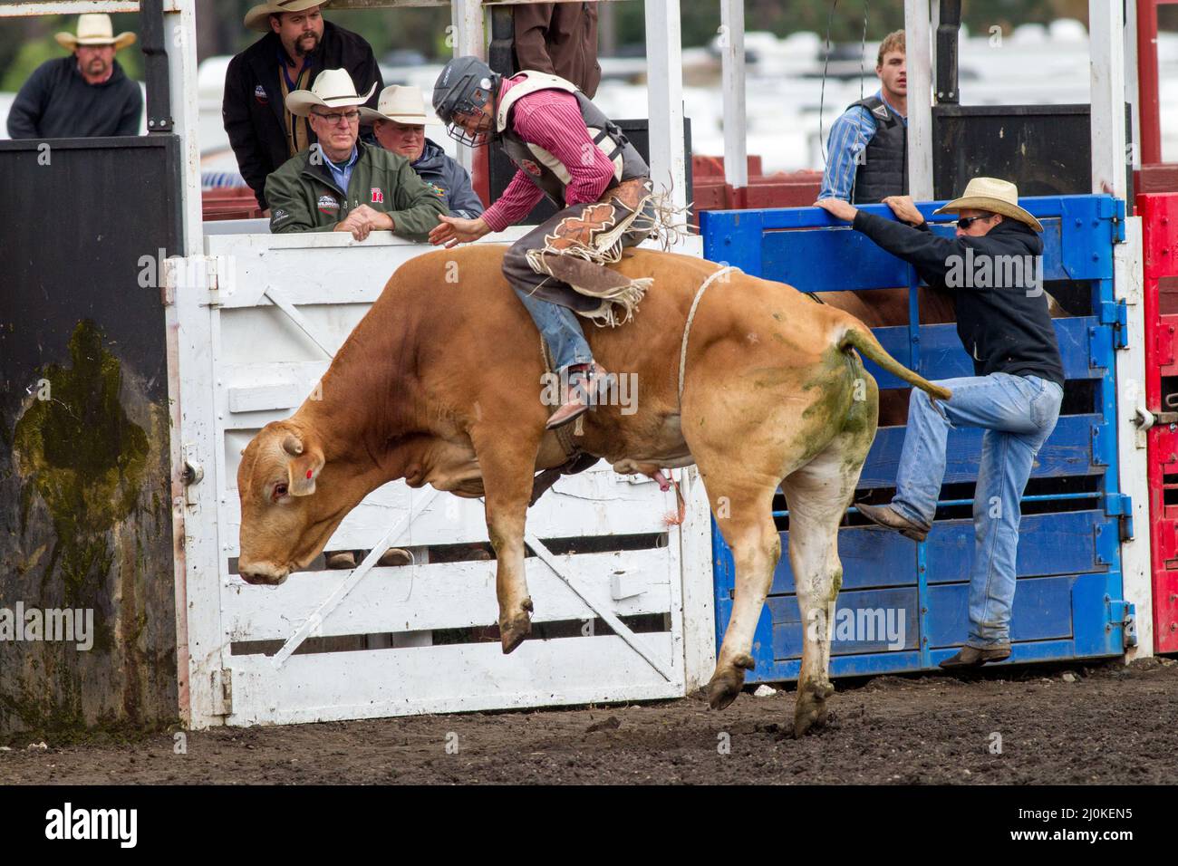 Leaping to safety hi-res stock photography and images - Alamy