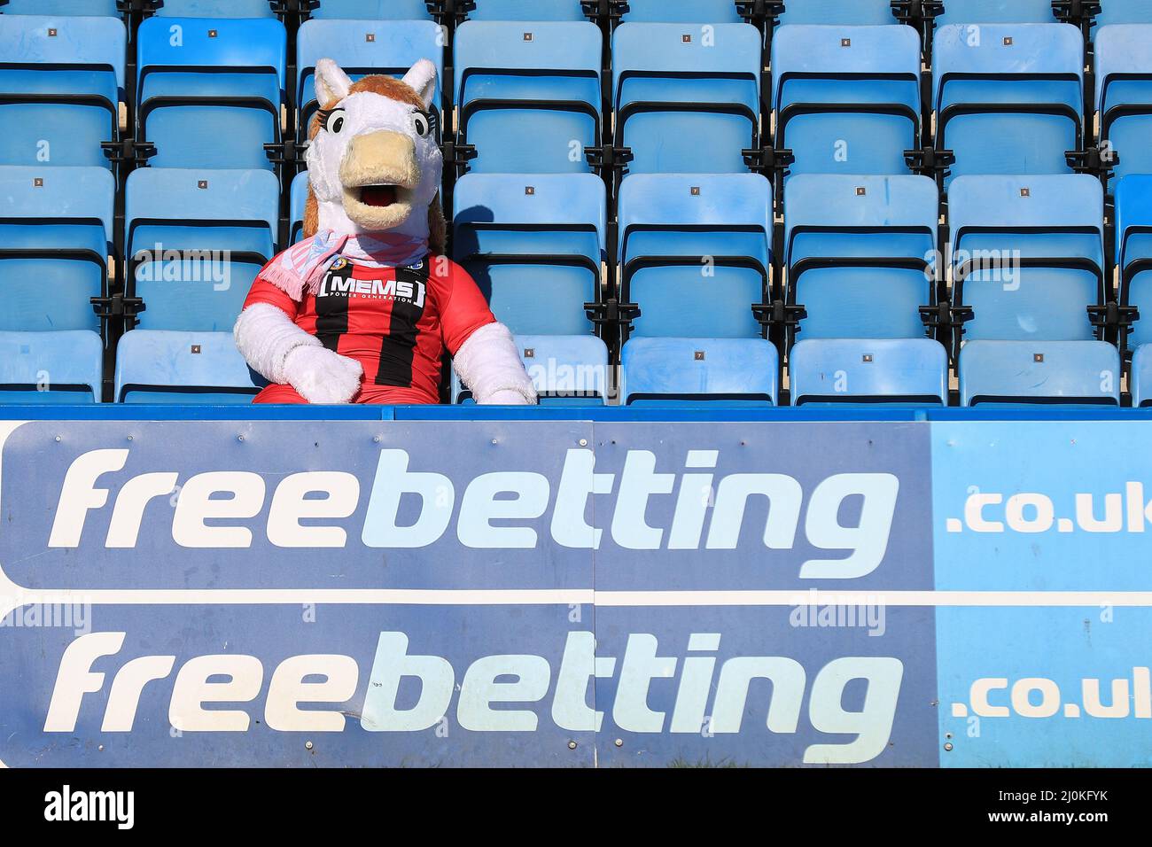 Sheffield wednesday mascot hi-res stock photography and images - Alamy