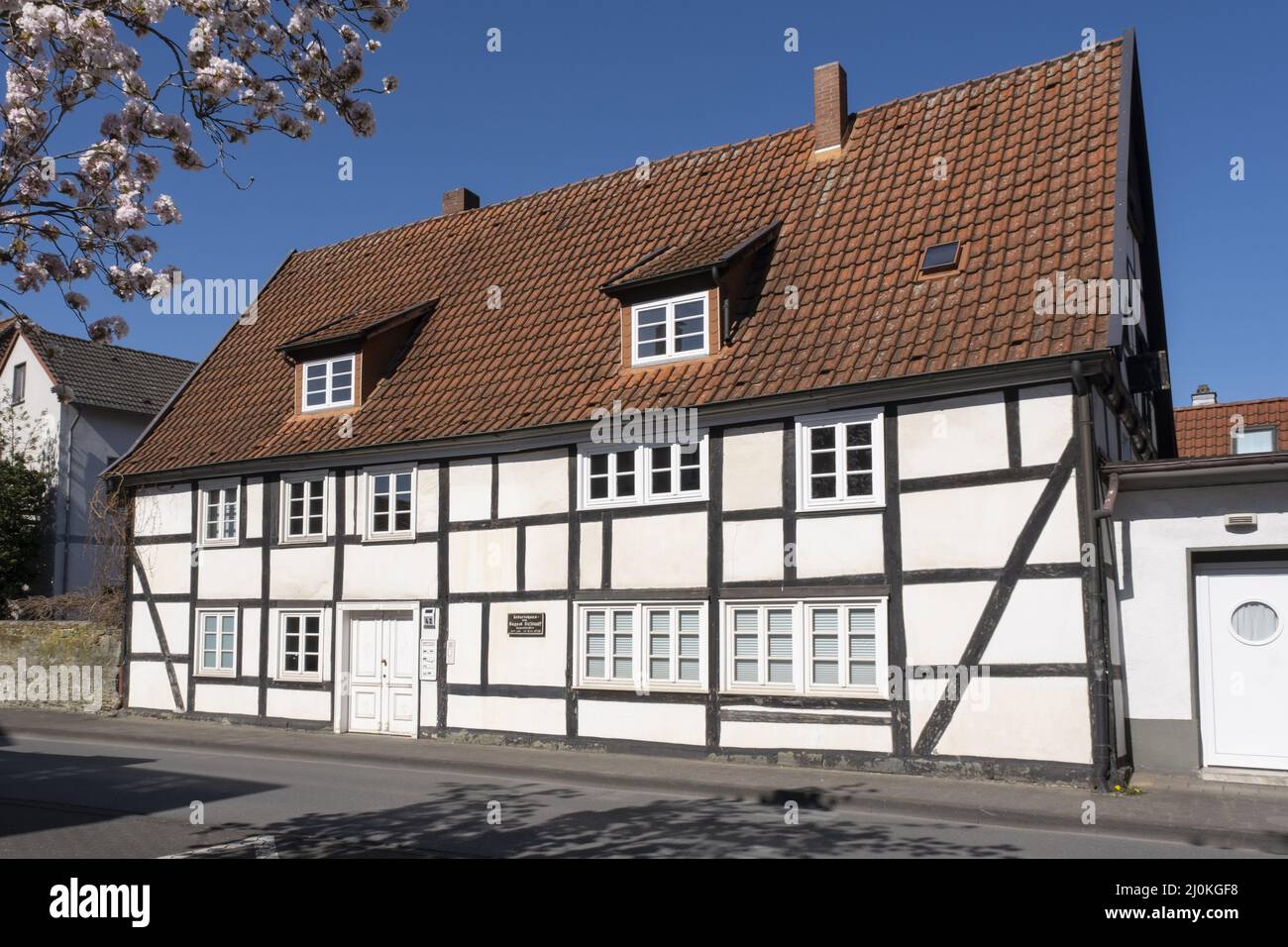 Disselhoff hi-res stock photography and images - Alamy