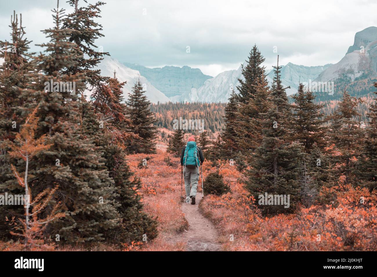 Hike in autumn season Stock Photo - Alamy