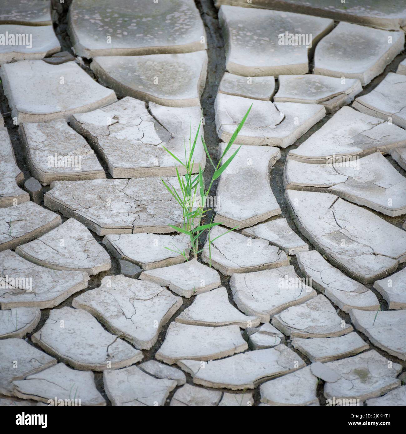 Cracked soil texture hi-res stock photography and images - Alamy