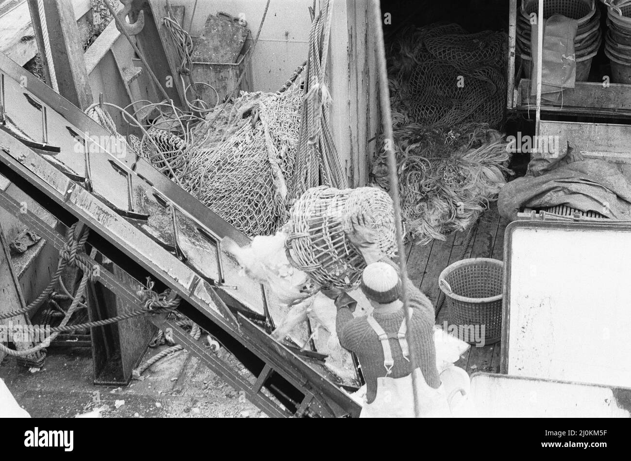 Crewman of the Trawler Marbi Larde seen here unloading their catch at ...