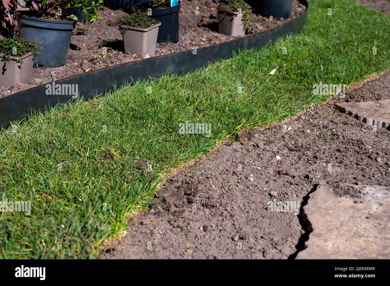 Making of natural green lawn in garden with rolls of green grass ...