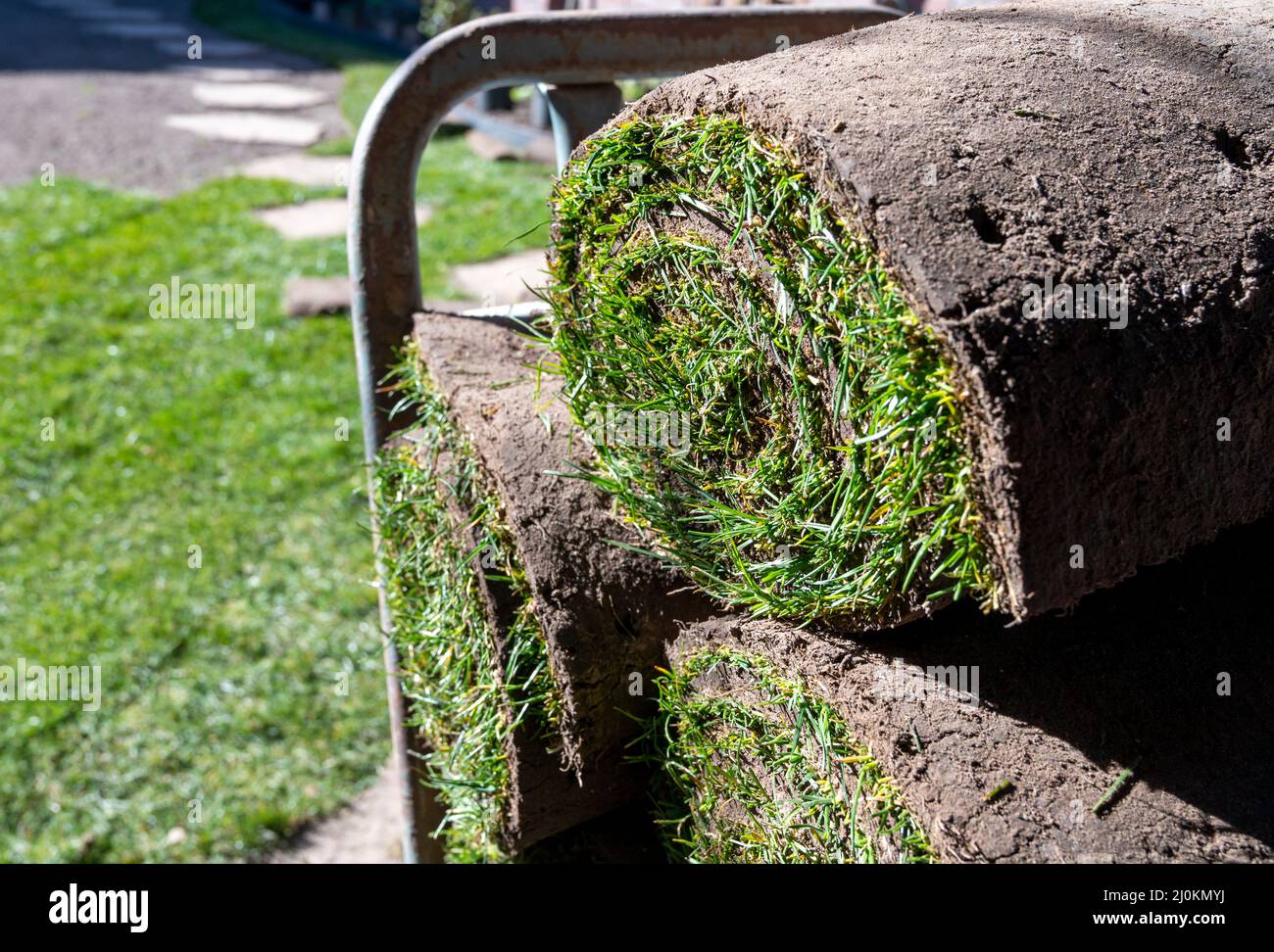 Making of natural green lawn in garden with rolls of green grass ...