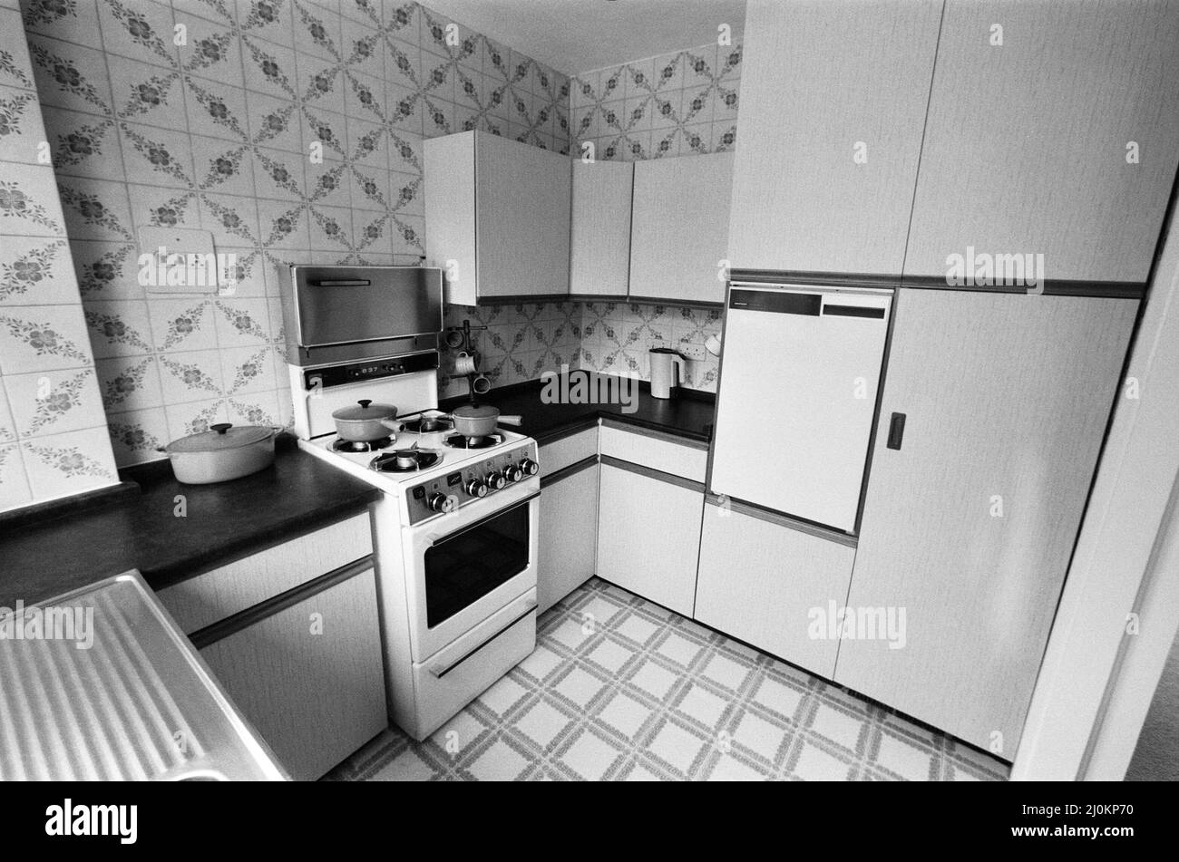 Mrs Singleton of Croydon has had her kitchen done up by a new cheap ...