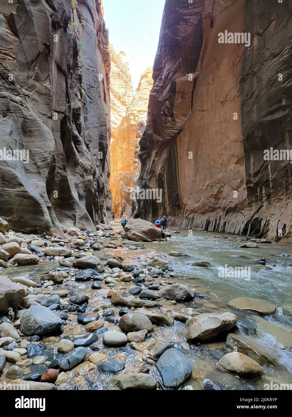 Narrows Trail at Zion National Park Stock Photo - Alamy