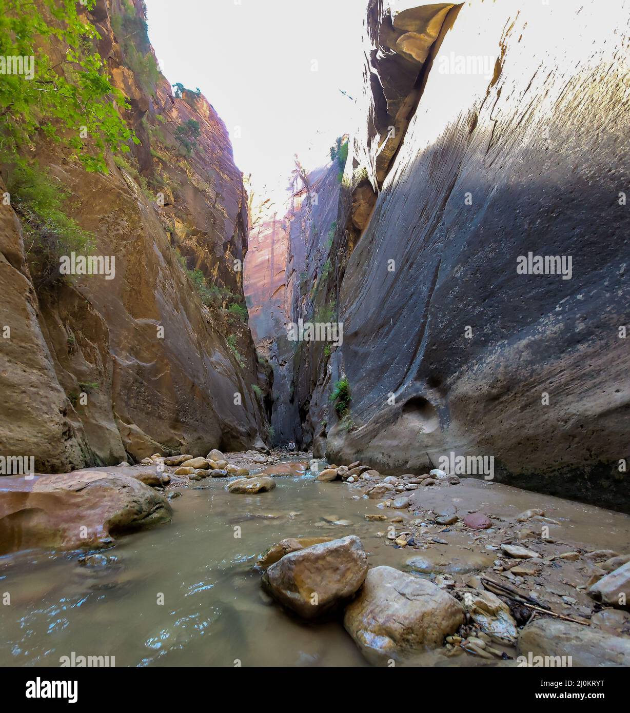 Grand narrows park hi-res stock photography and images - Alamy