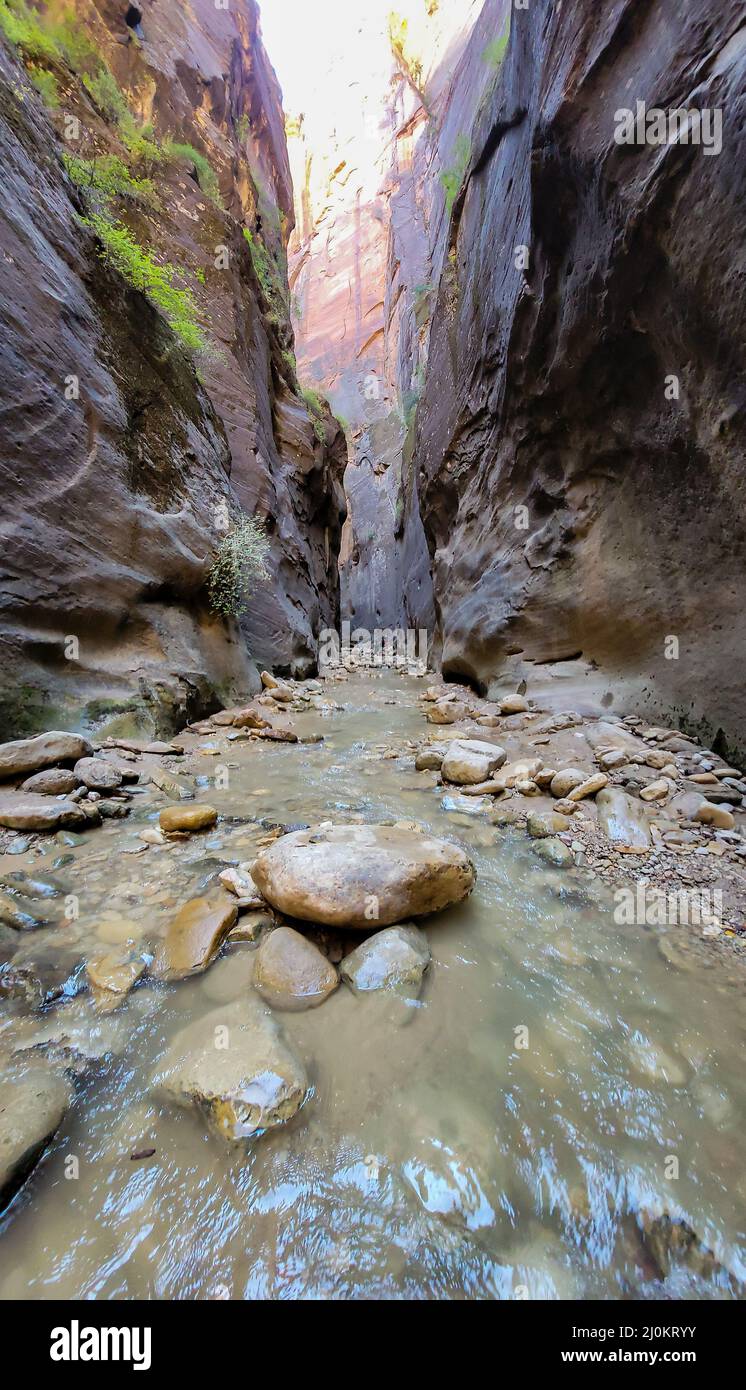 Narrows hiking Trail through the Virgin river at Zion National Park ...