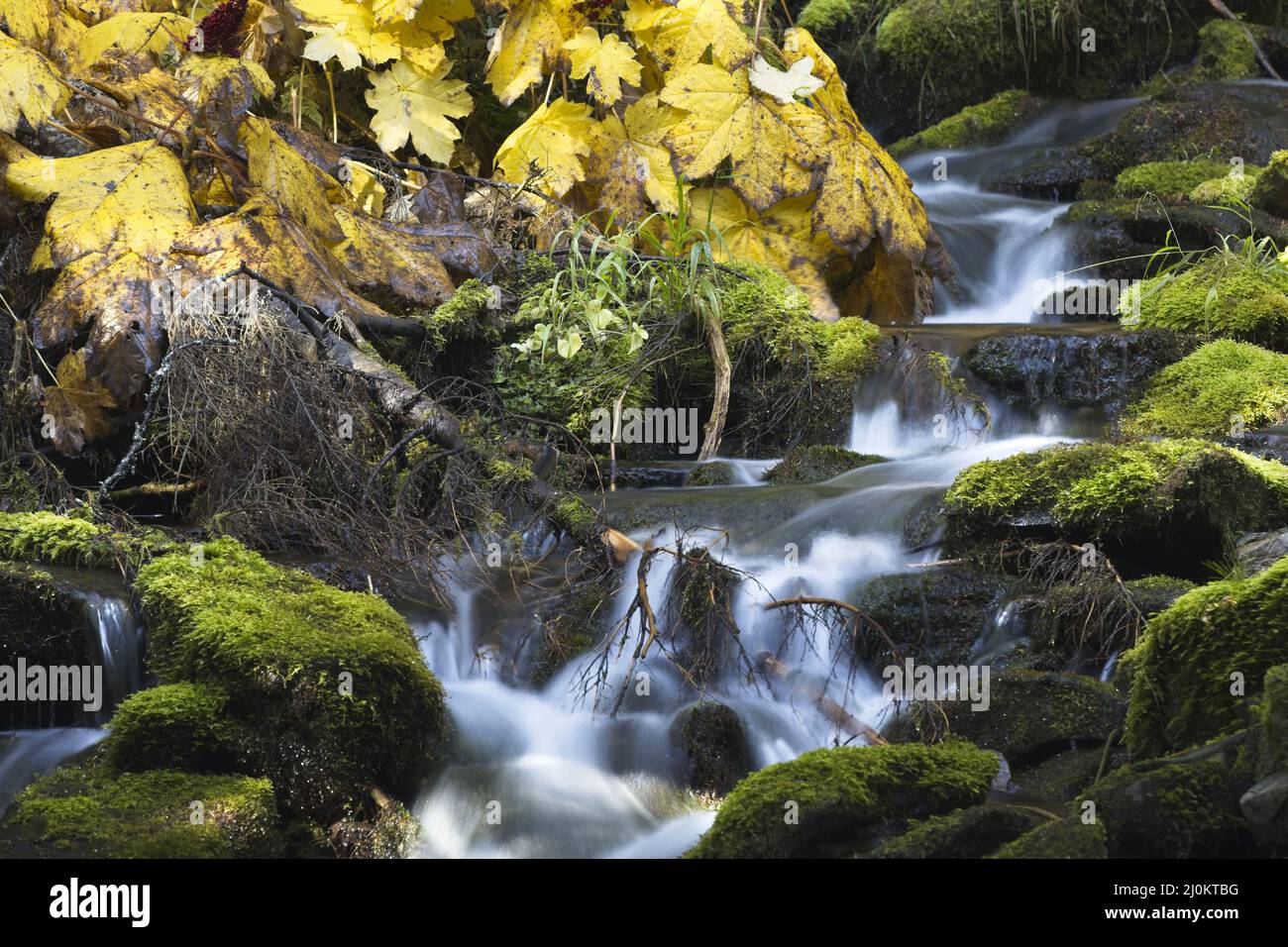 Autumn scenic water hi-res stock photography and images - Alamy