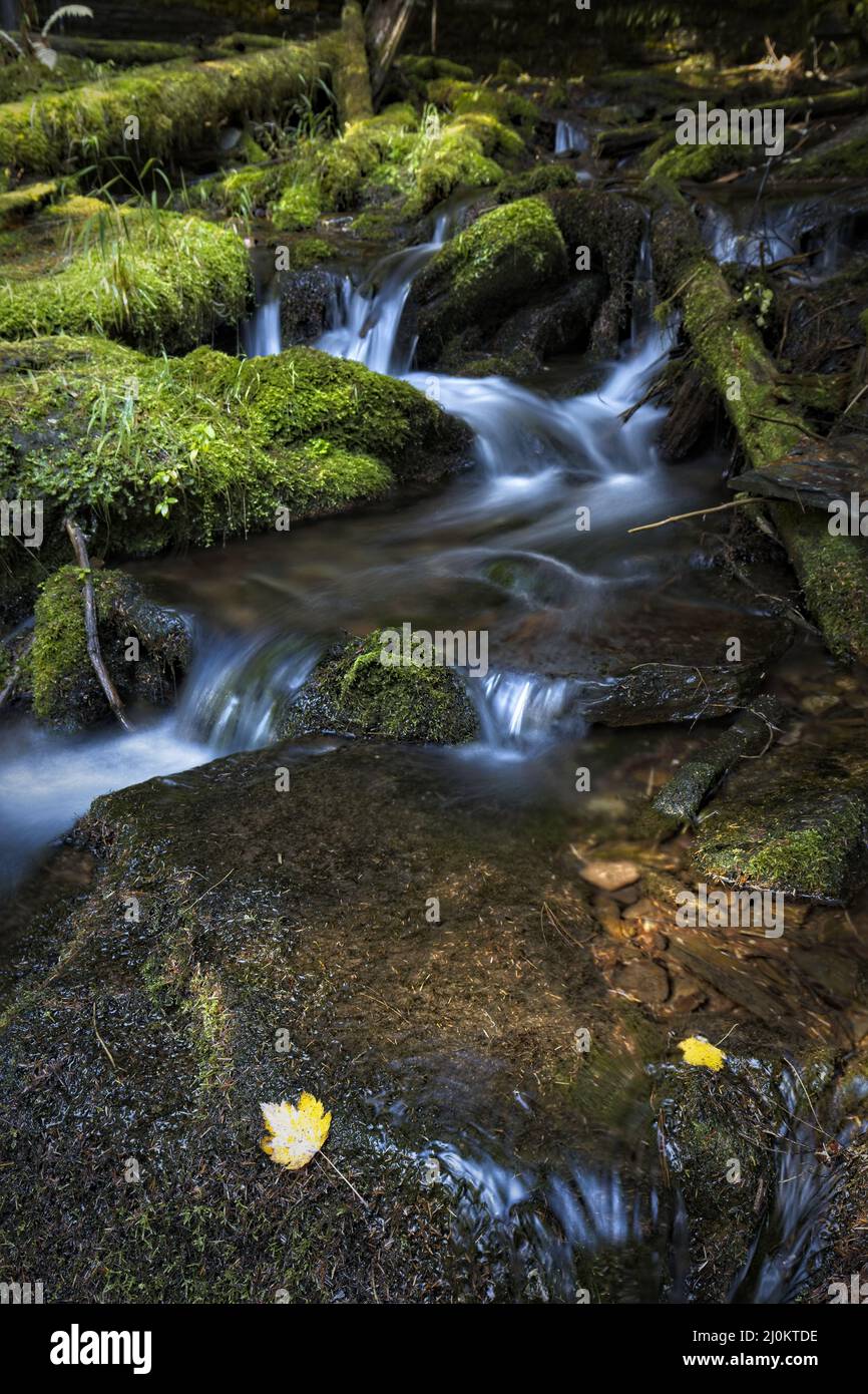 Water flows from rock hi-res stock photography and images - Alamy