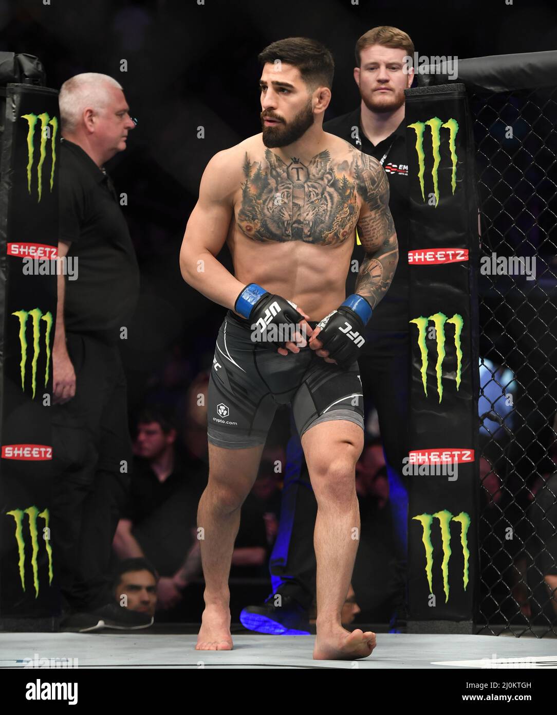 Ilia Topuria in action and celebrates with a win against Jia Herbert ...