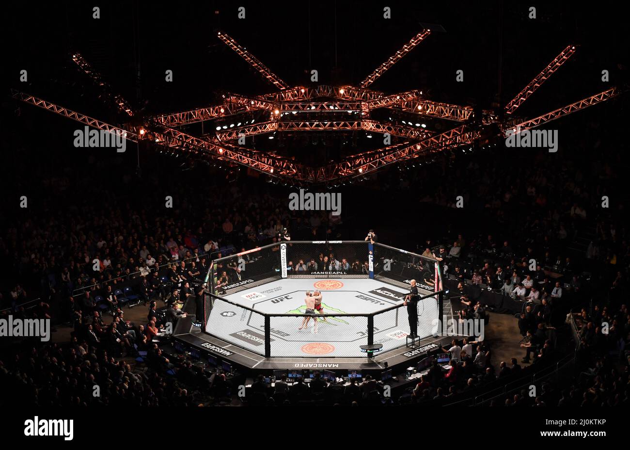 Octagon Ufc Wallpaper