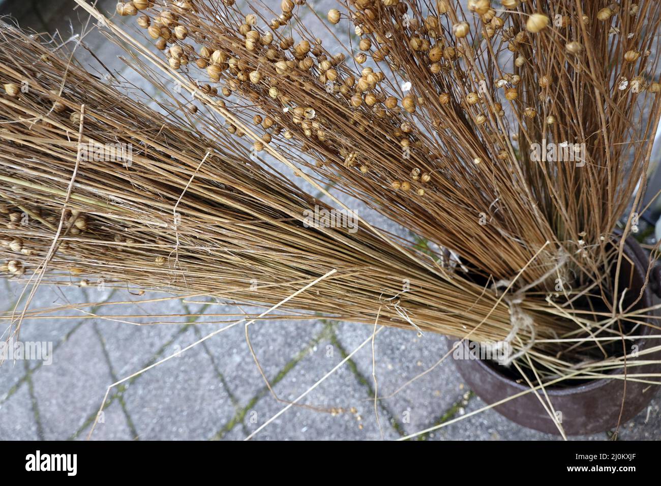 Old craft - dried flax for linen production at the craft market in ...