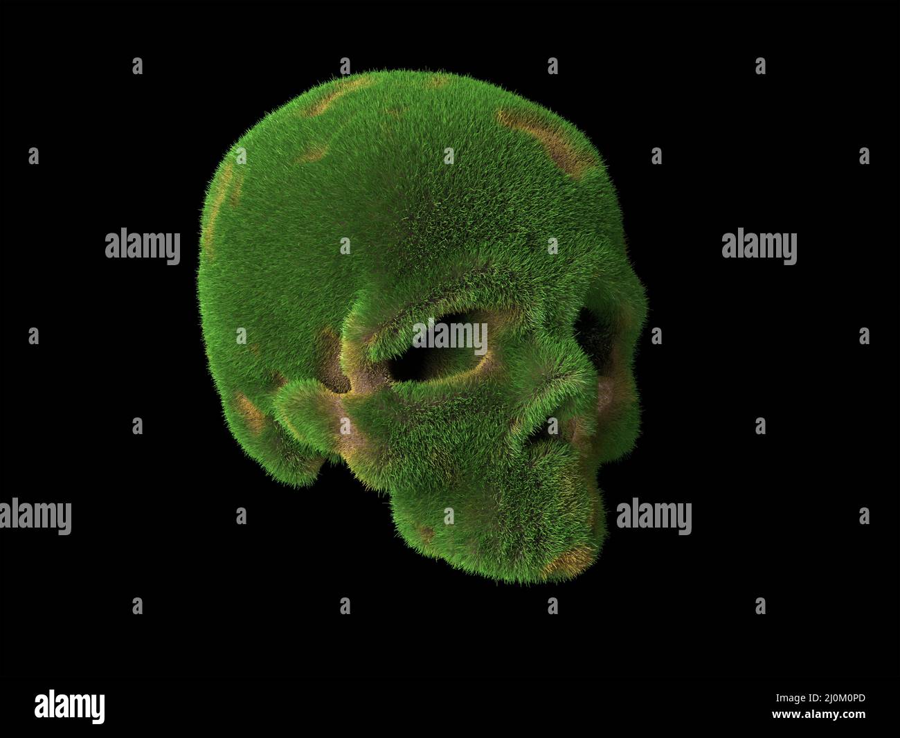 An old abandoned skull overgrown with grass with patches of brown earth ...