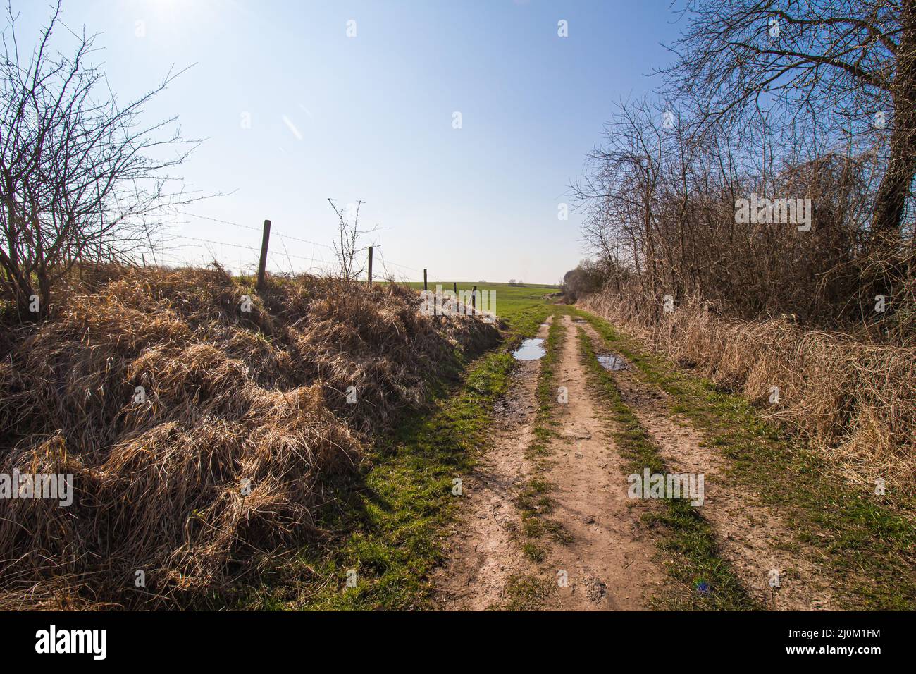 Beautiful view of a grassy pathway surrounded by greens in the ...