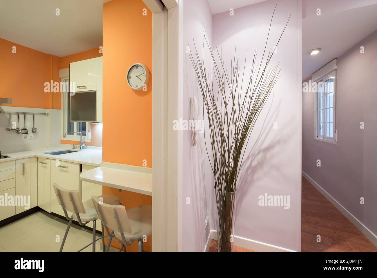 Entrance hall to a house with lavender corridors and entrance to a ...