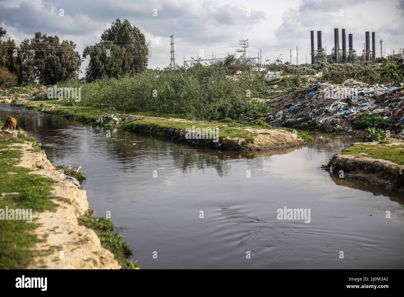 General view of Wadi Gaza, a wetland area in the central Gaza Strip. In ...