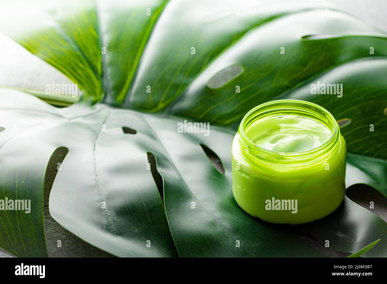 Cosmetic cream on green leaf top view Stock Photo - Alamy