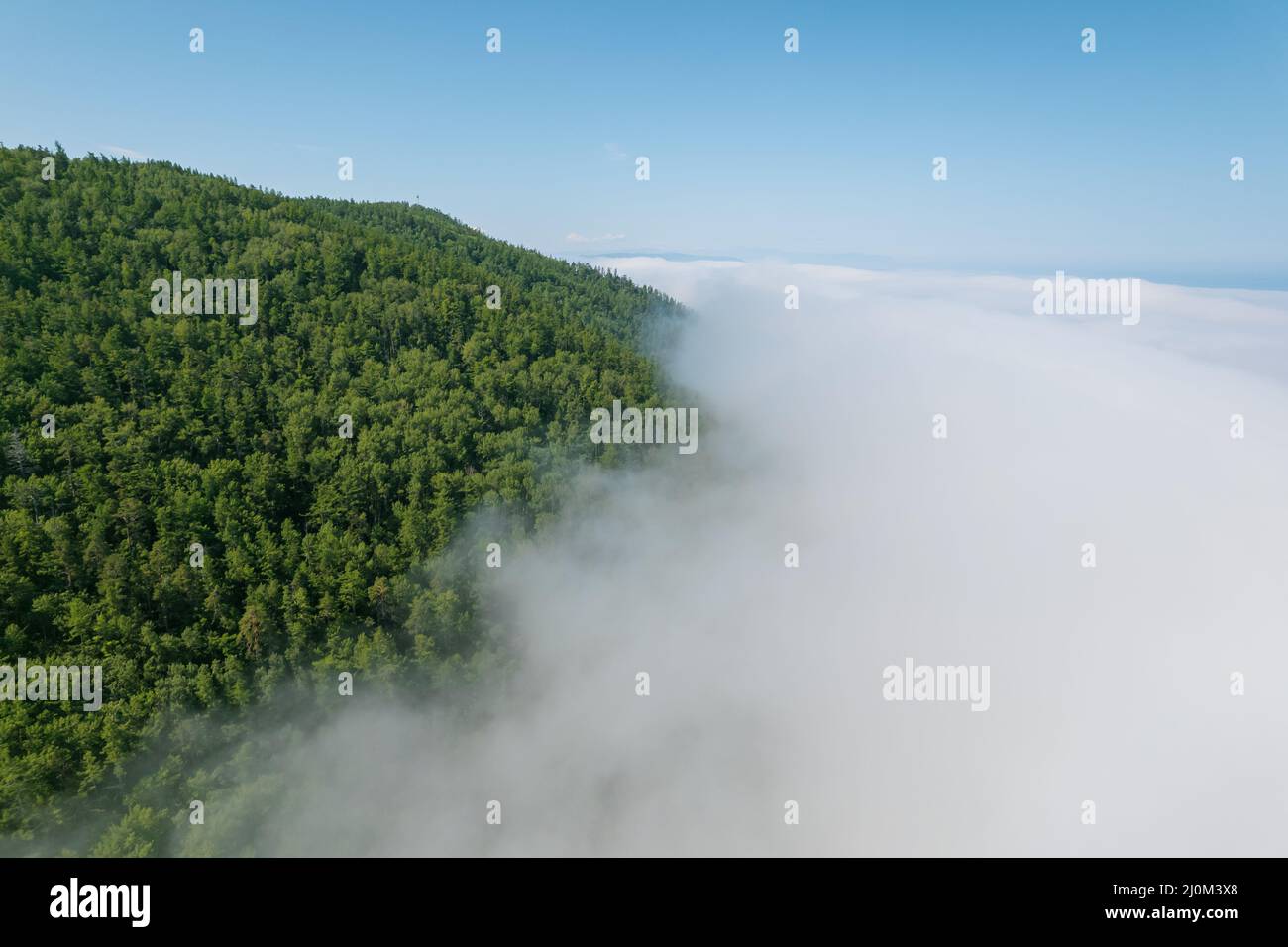 Aerial flight through clouds trees hi-res stock photography and images ...
