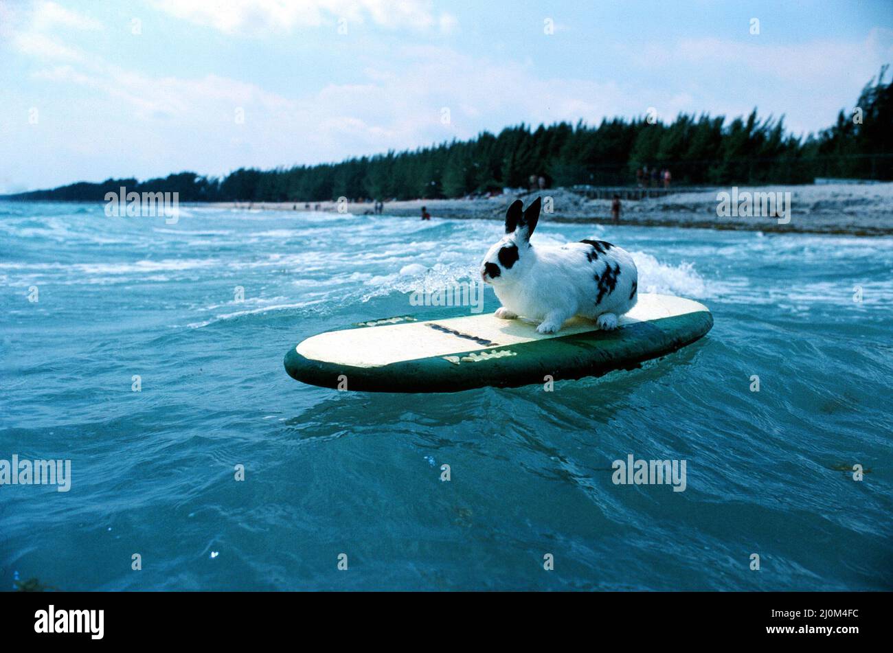 1981 picture hi-res stock photography and images - Alamy