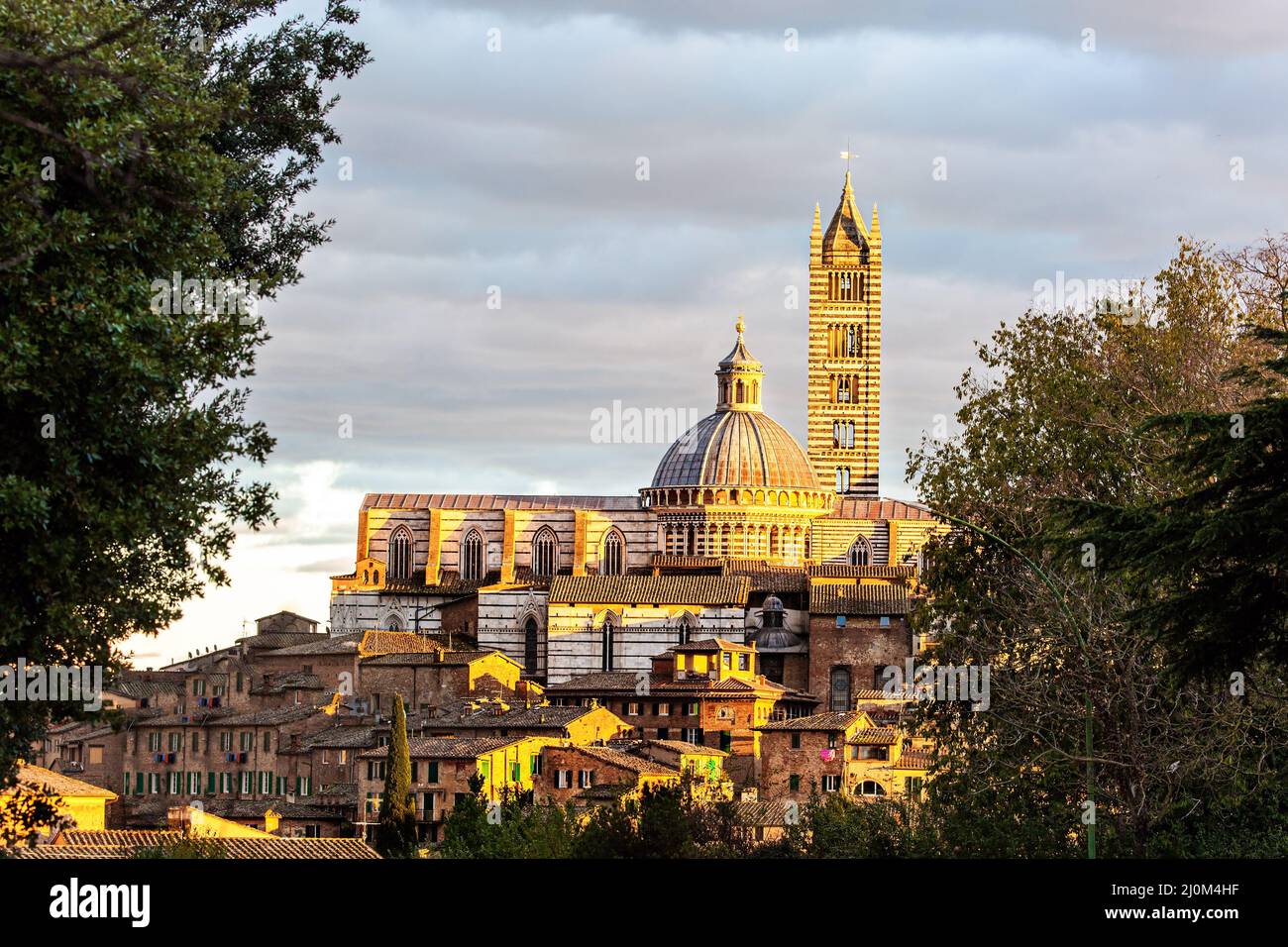 The symbol of siena hi-res stock photography and images - Alamy