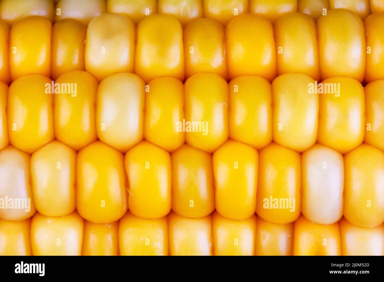 Texture of boiled yellow corn grains Stock Photo - Alamy