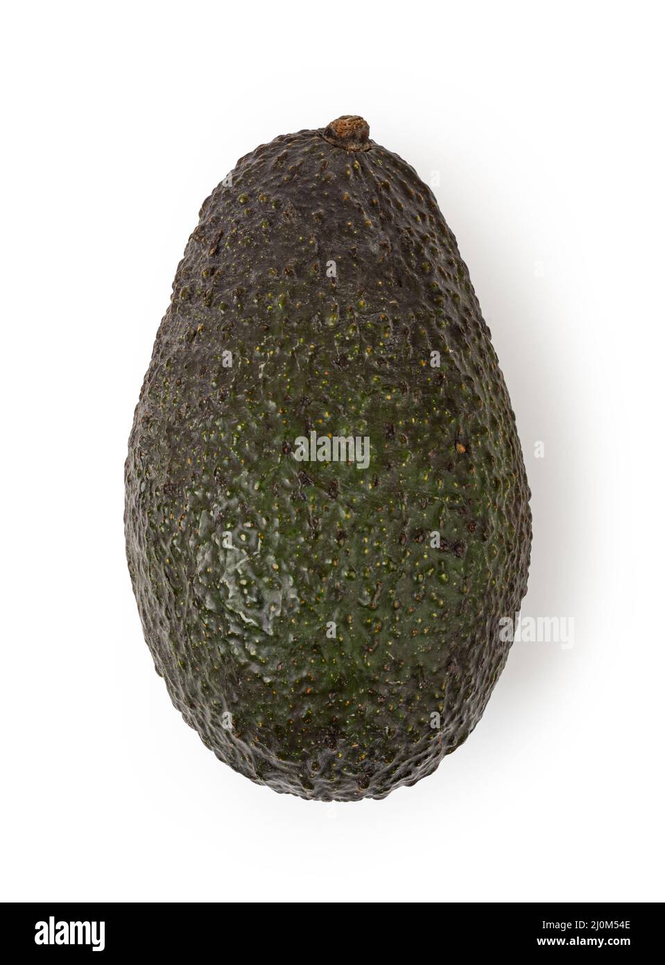 Tropical avocado Cut Out Stock Images & Pictures - Alamy