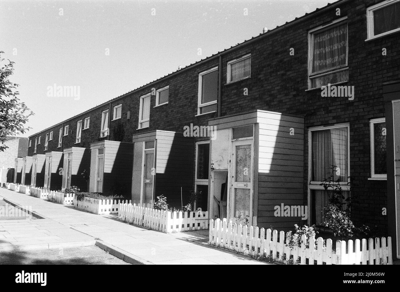 Painted council houses and the unpainted ones - part of a battle of ...