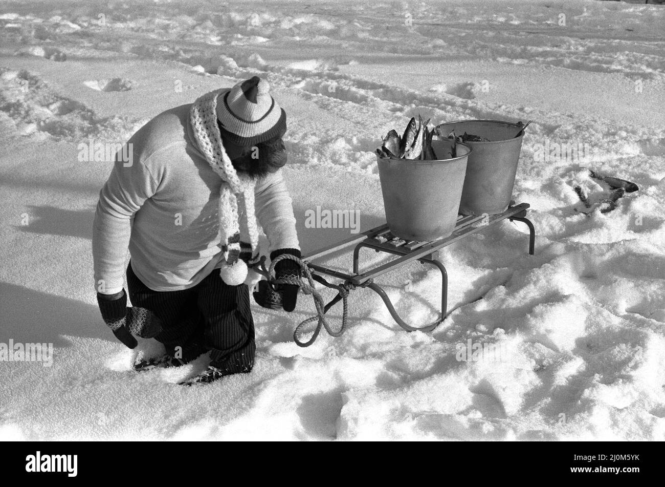 A Chimpanzee wrapped up against the cold, pulling a sled loaded with ...
