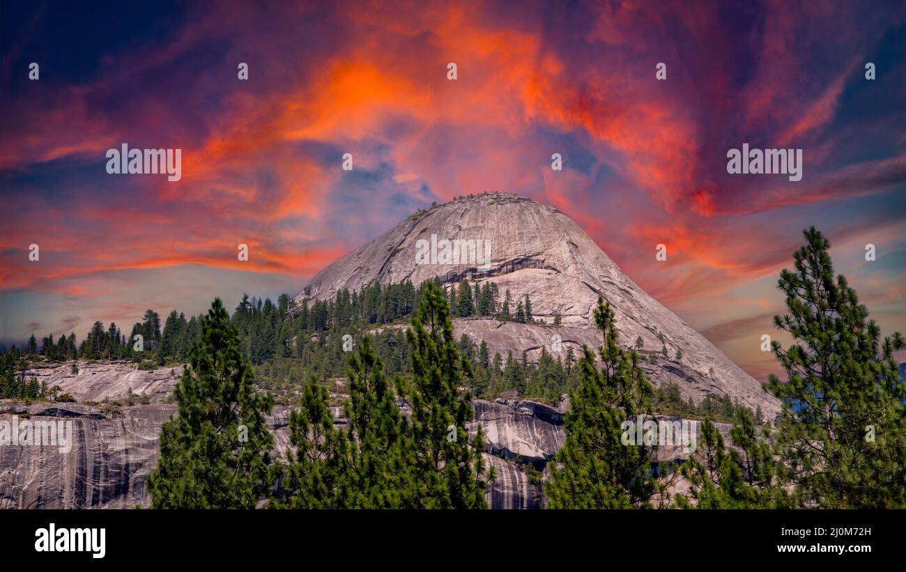 Evergreen tree valley yosemite half dome hi-res stock photography and ...