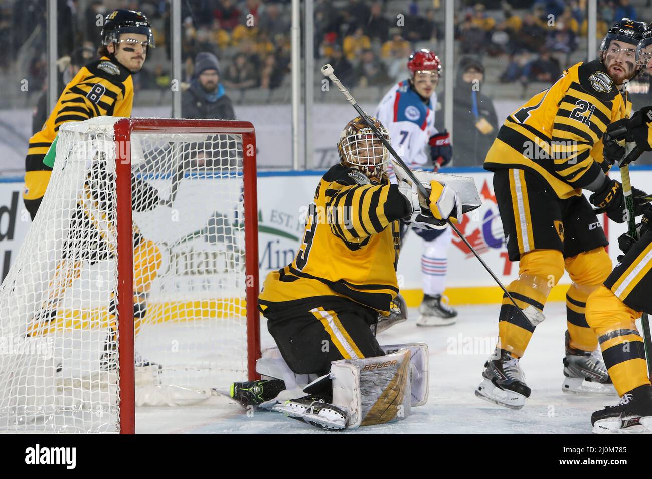 Tim hortons field hamilton hi-res stock photography and images - Alamy