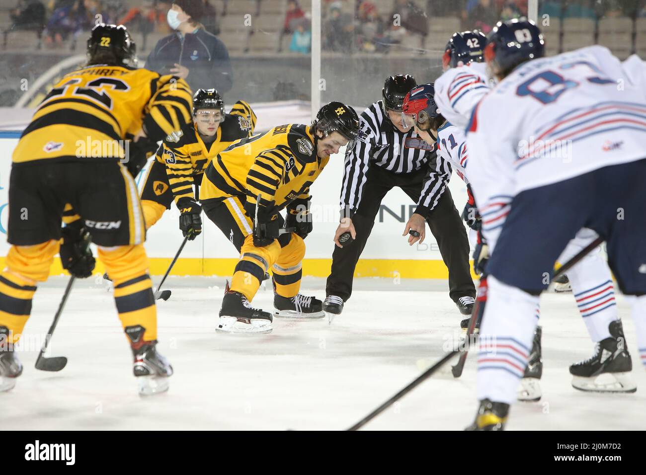 Tim hortons field hamilton hi-res stock photography and images - Alamy