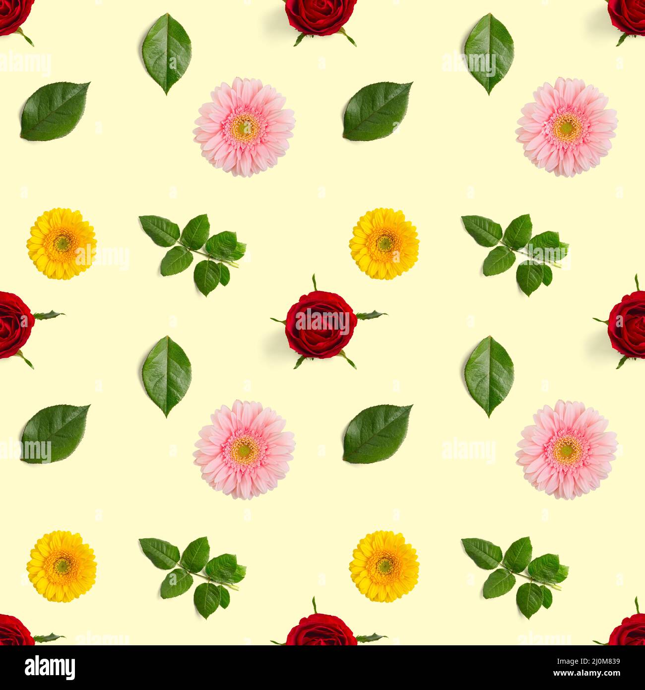 summer flowers seamless pattern. Gerbera and rose pattern Stock Photo ...
